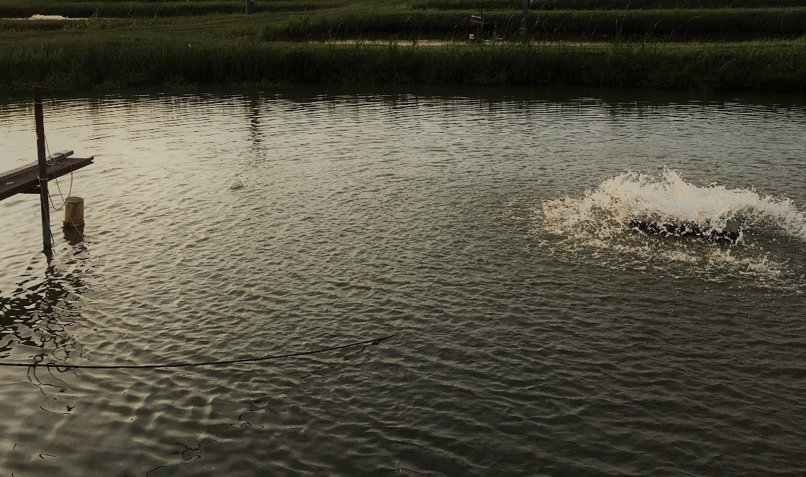 Pond Fertilization - Aquaculture, Fisheries, & Pond Management